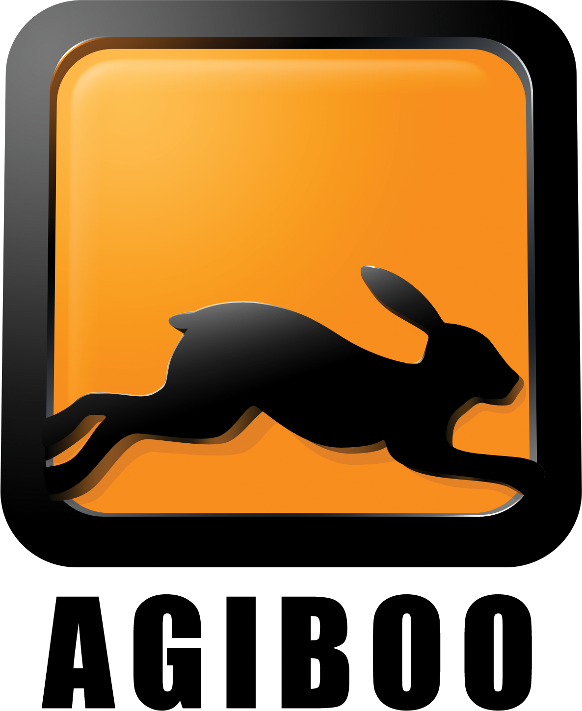 Consulting Clients - ZevMir, LLC